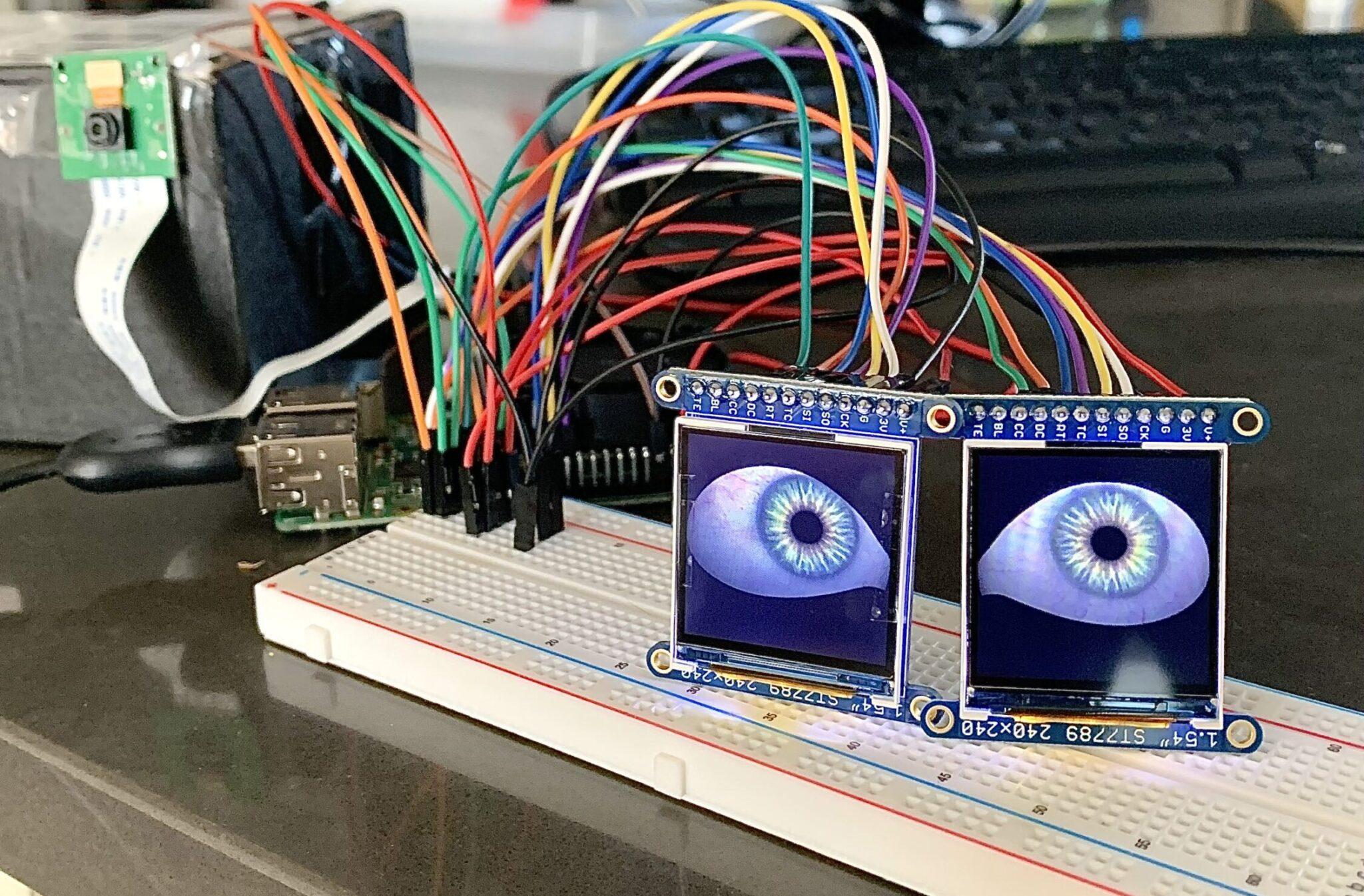 Eye Following Halloween Prop